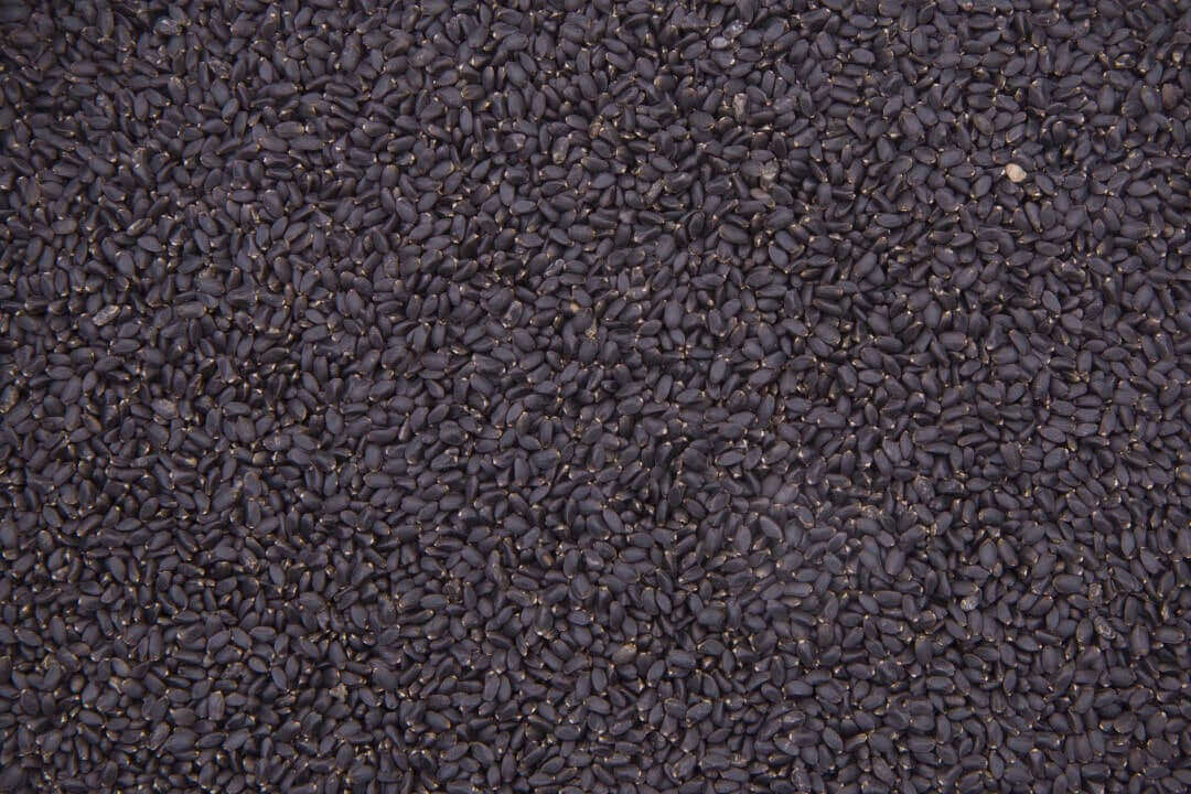 Sabja Seeds (Basil/Tukmaria Seeds) Online | Natural Health Boost ...